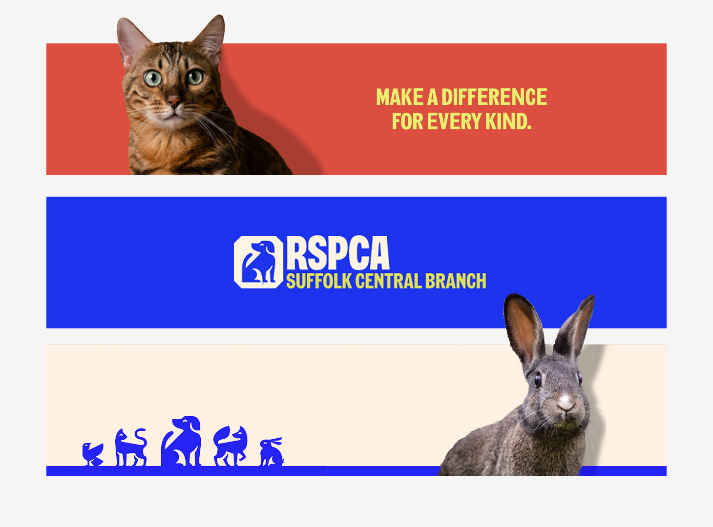 RSPCA Suffolk Central - Web Design & Brand Strategy Reading & London ...